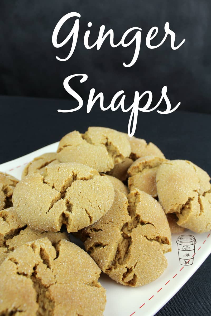 Ginger Snaps That Aren't So Snappy | Coffee With Us 3