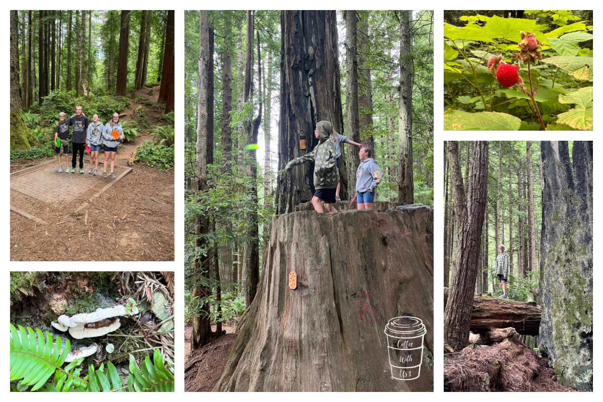 Visiting Redwood National Park & State Parks | Coffee With Us 3